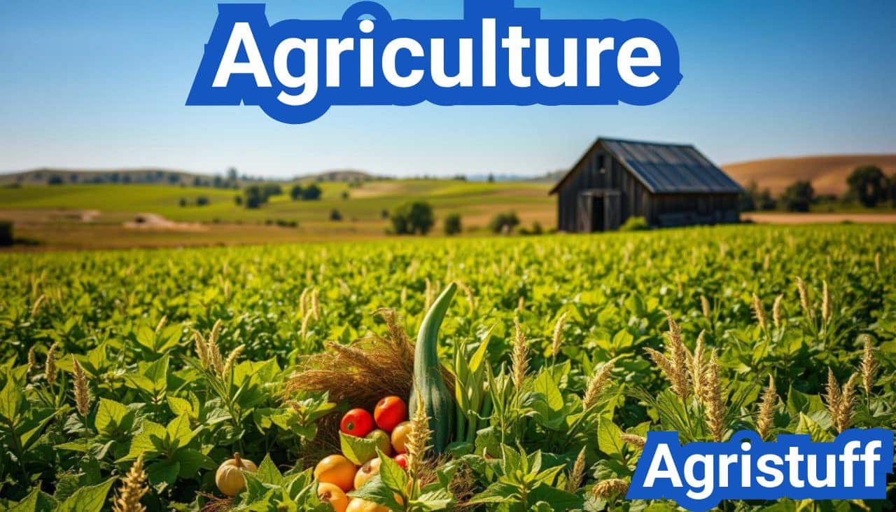 Agriculture: Everything You Need To Know | 2025