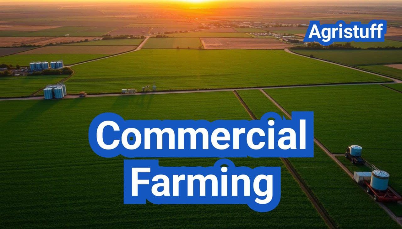 Commercial Farming: Definition, Types, Equipment & Examples | 2025