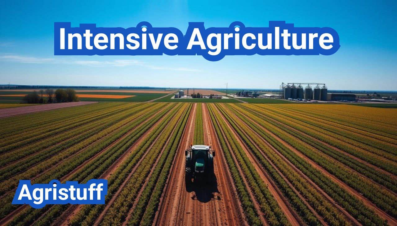 Intensive Agriculture | Definition, Types, Examples & Practices | 2025