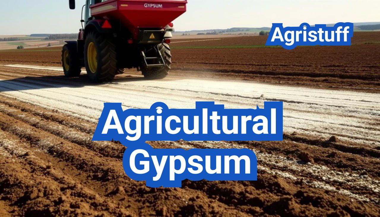 Agricultural Gypsum: Fixing Sodicity And Improving Soil Structure—Does ...