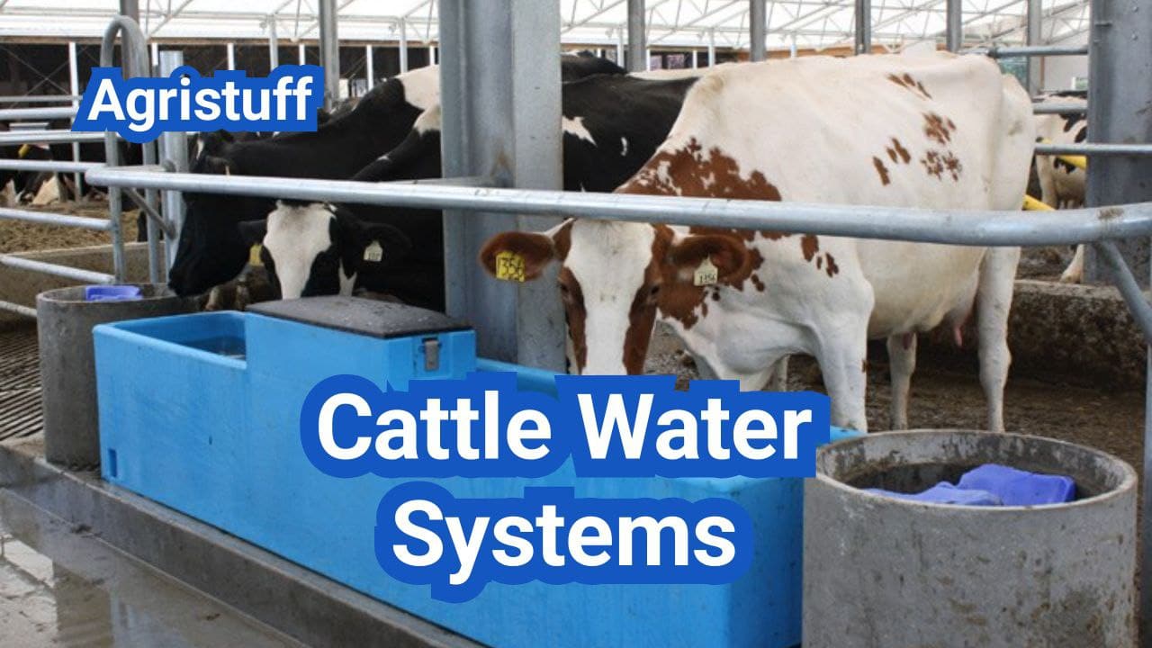 Cattle Water Systems: Flow Rates, Trough Sizing, And Winter Freeze ...