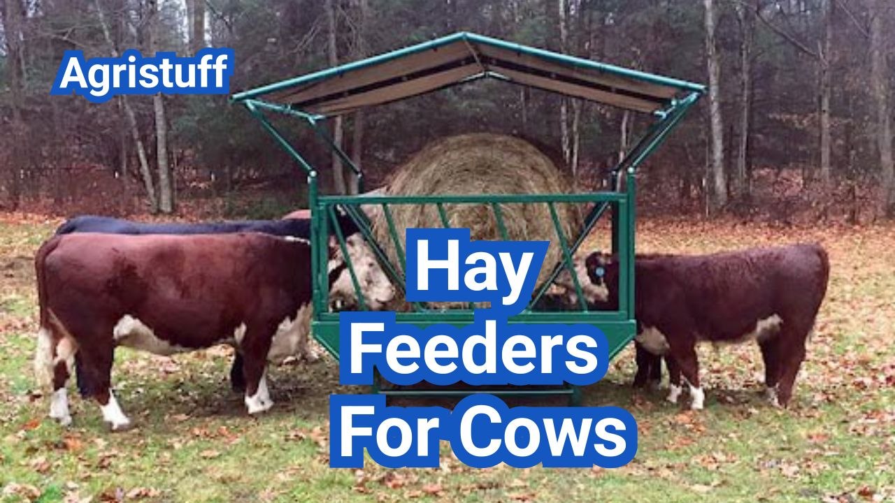 Best Hay Feeders For Cows: Designs, Capacity, And Waste-Reduction Tips ...