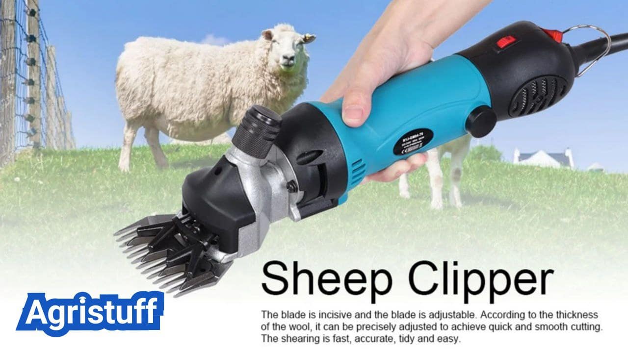 Best Sheep Clippers: Blade Types, Speeds, And Safe Shearing Technique ...