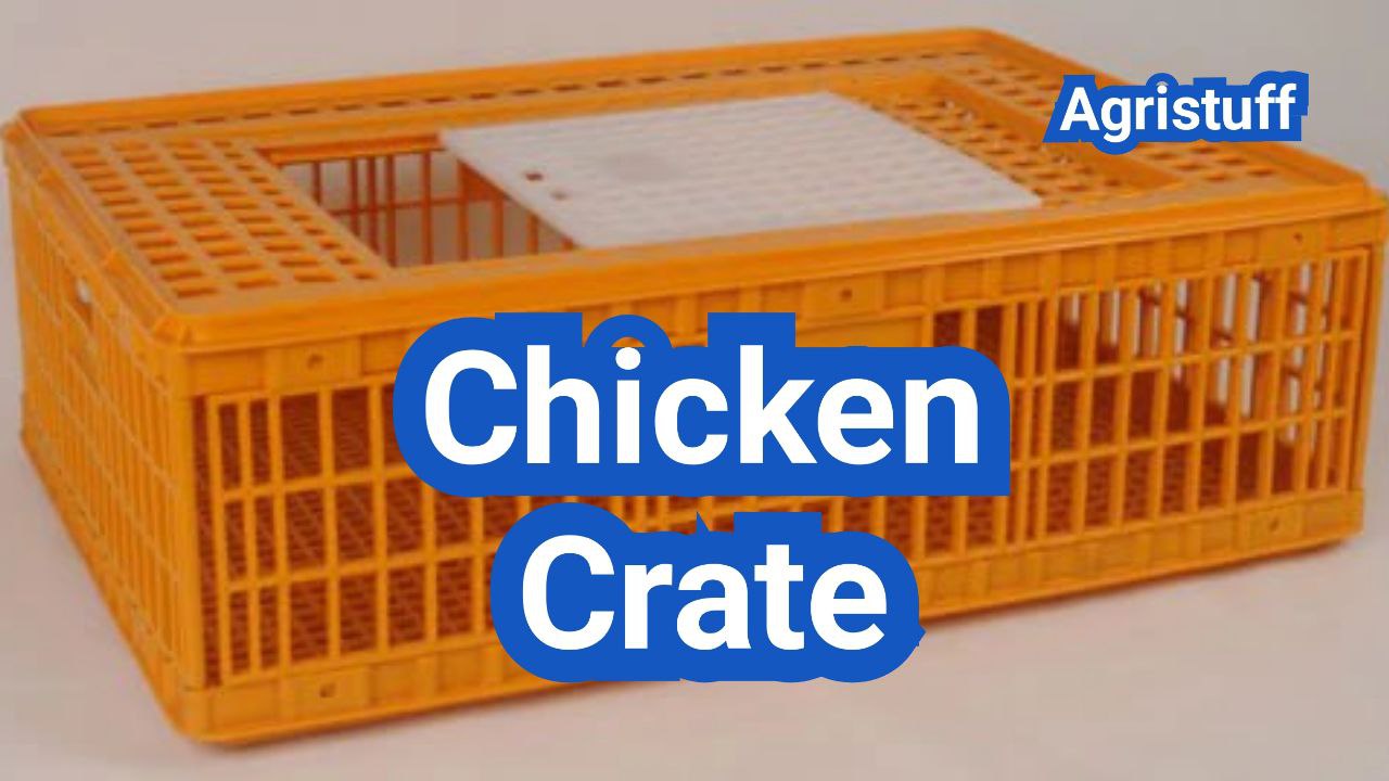 Chicken Crate Basics: Safe Transport, Sizing, And Heat-Stress ...