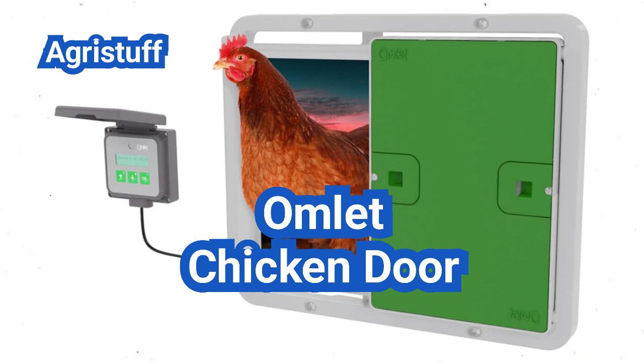 Omlet Chicken Door Review: Features, Install Tips, And Is It Worth It ...