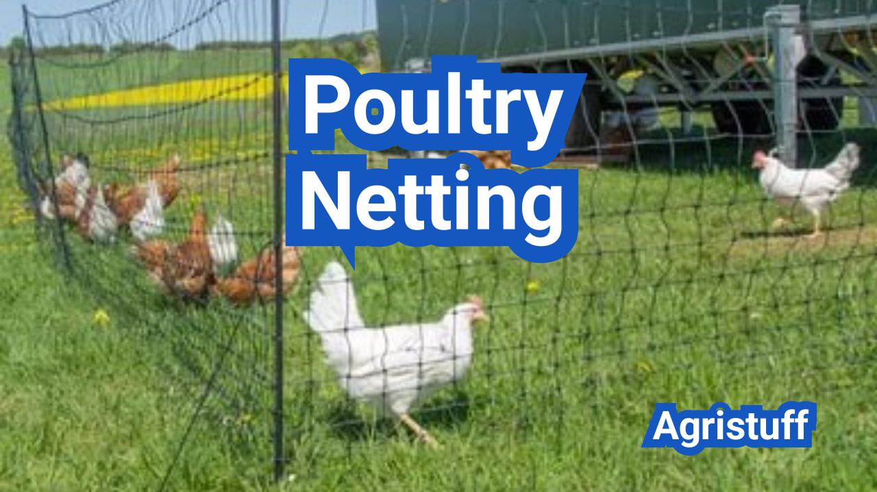 Poultry Netting Explained: Electric Vs Non-Electric And How To Install ...