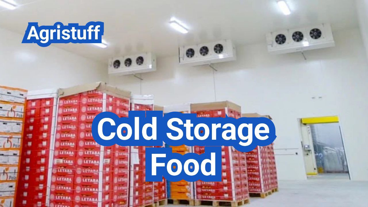 Cold Storage Food: Warehouse Temperature Zones, Monitoring, And Top ...