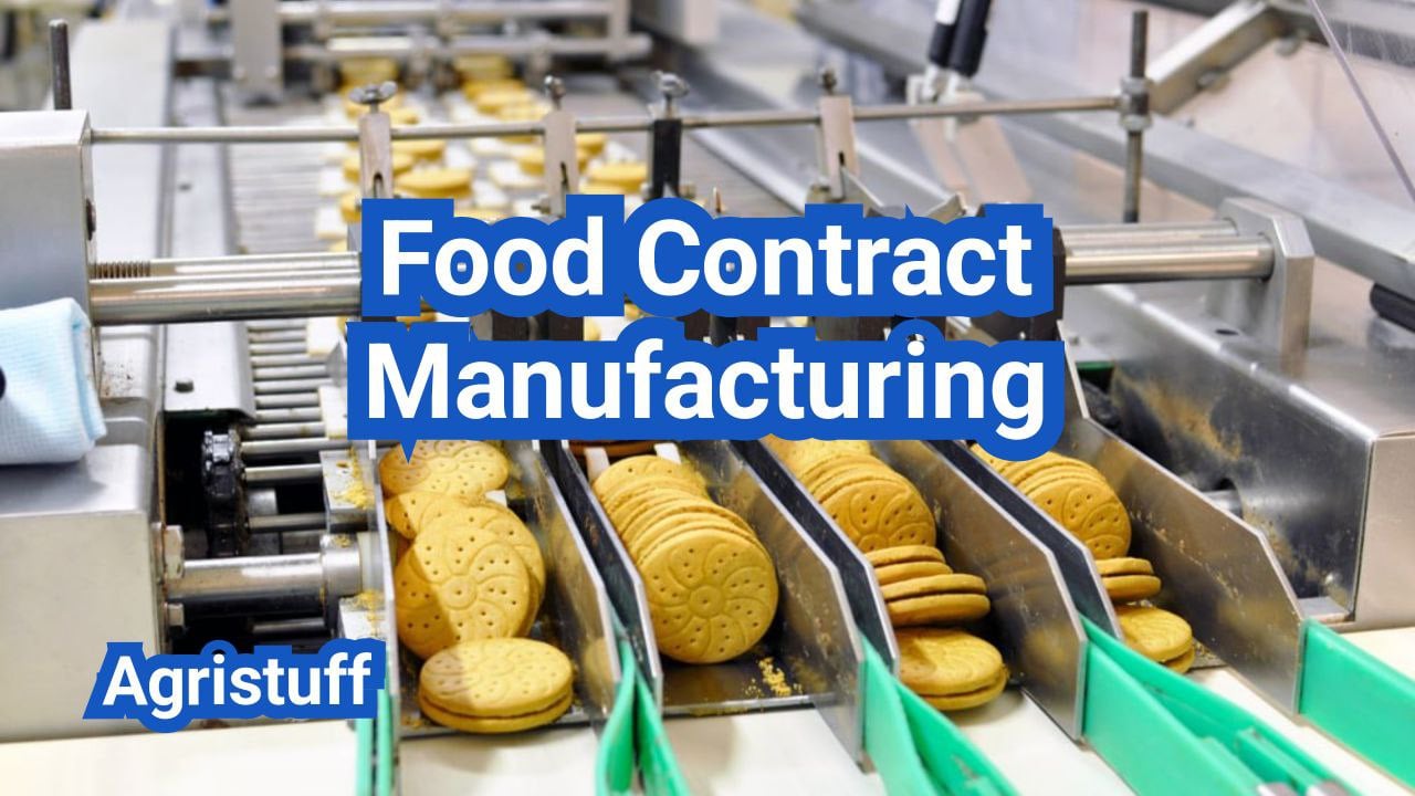 Food Contract Manufacturing: MOQs, Pricing, Lead Times, And IP ...