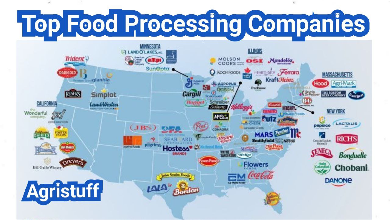 Food Processing Companies: Services They Offer (and How To Request ...