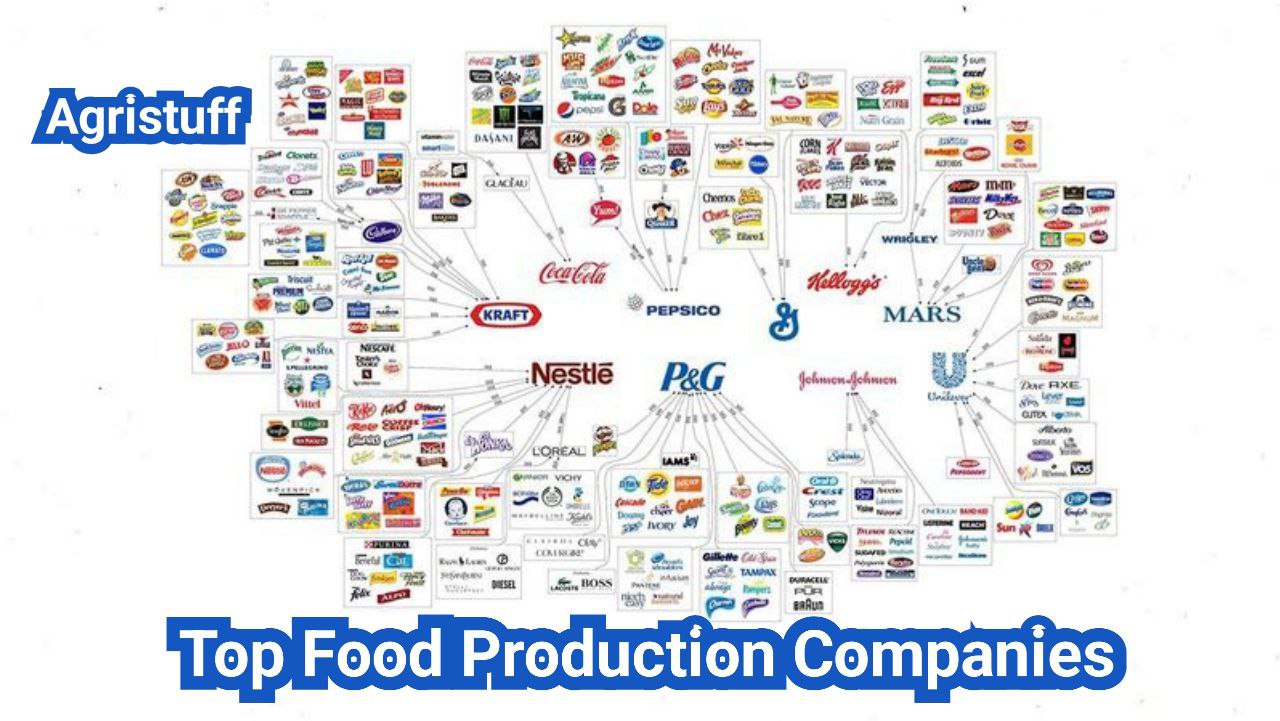 Food Production Companies: How To Evaluate Capacity, Reliability, And ...