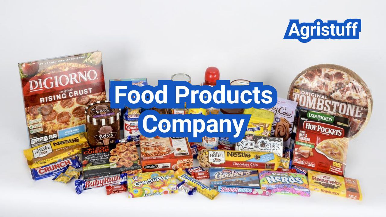 Starting A Food Products Company: From Idea Validation To Your First ...