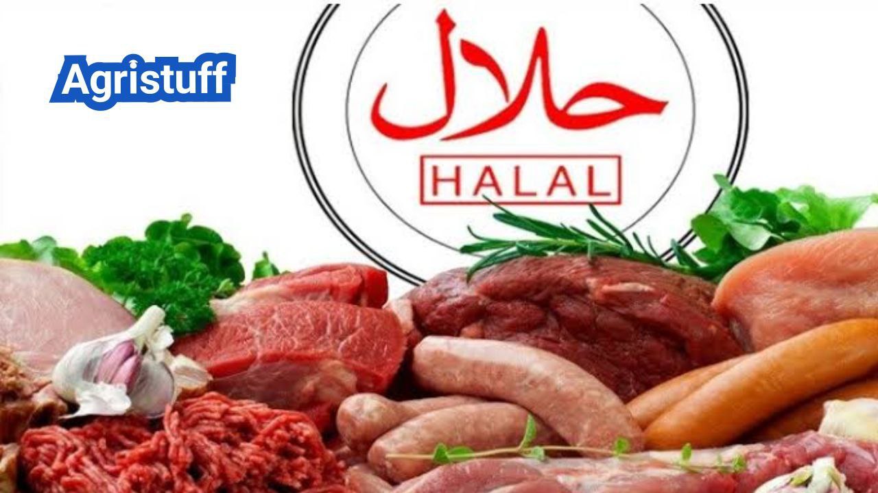 Global Halal Market: Demand Drivers And What U.S. Brands Need To Know ...