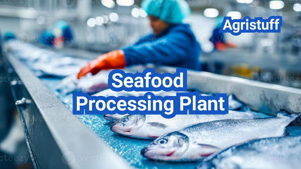 Seafood Processing Plant: Layout, Sanitation, And Throughput Basics | 2026