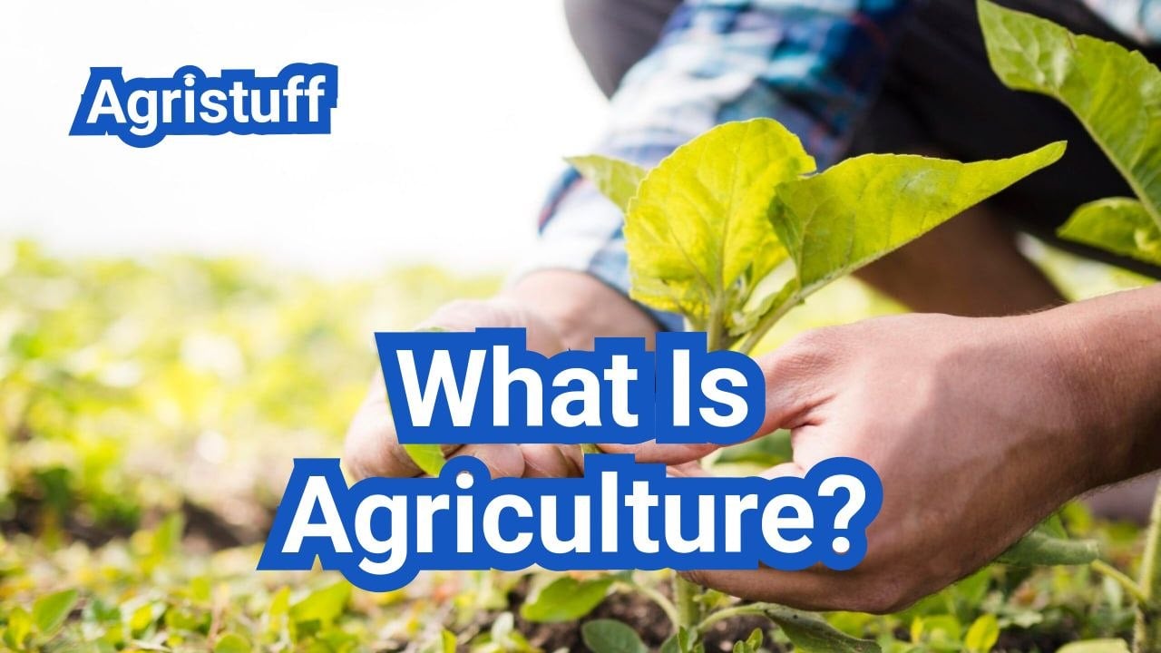What Is Agriculture? Definition, Types, And Why It Matters
