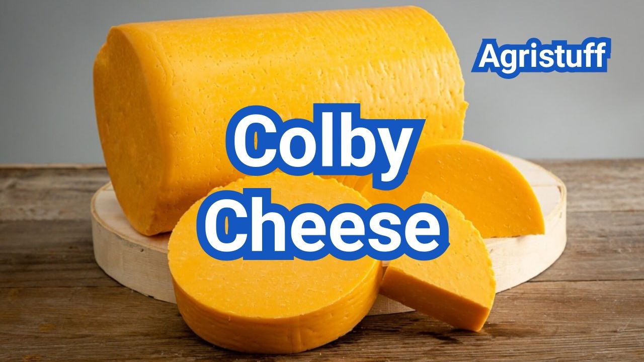 What Is Colby Cheese? Flavor, Texture & How It Differs From Cheddar