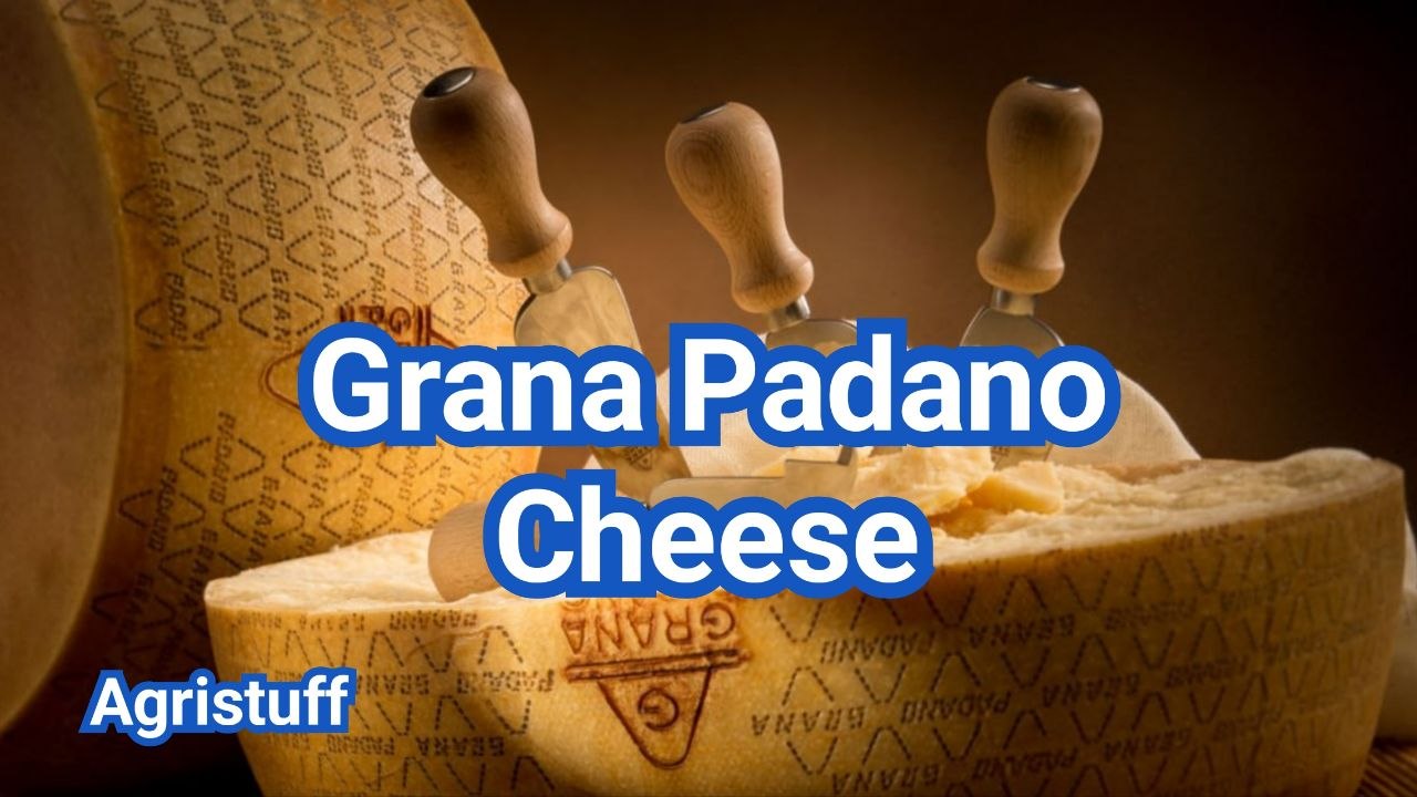 What Is Grana Padano Cheese? Parmesan Difference & Uses