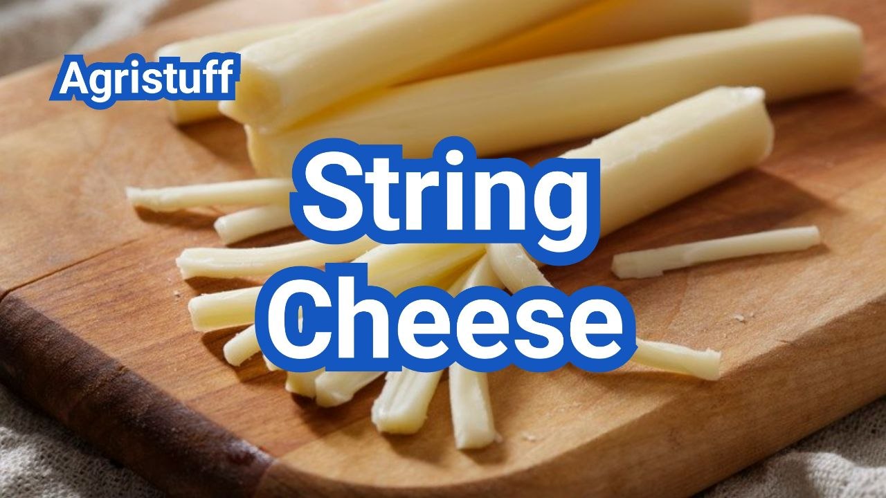 String Cheese: How It’s Made And Is It A Good Snack? | 2026