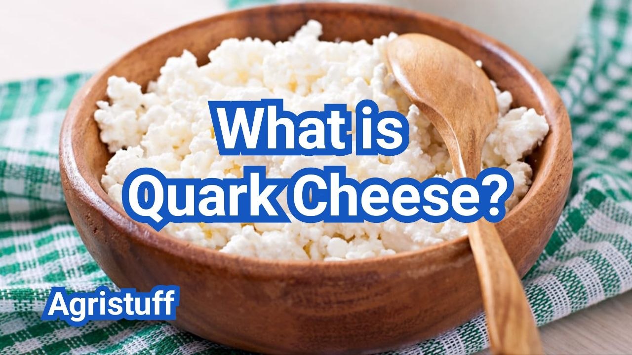 What Is Quark Cheese? And How Americans Use It | 2026